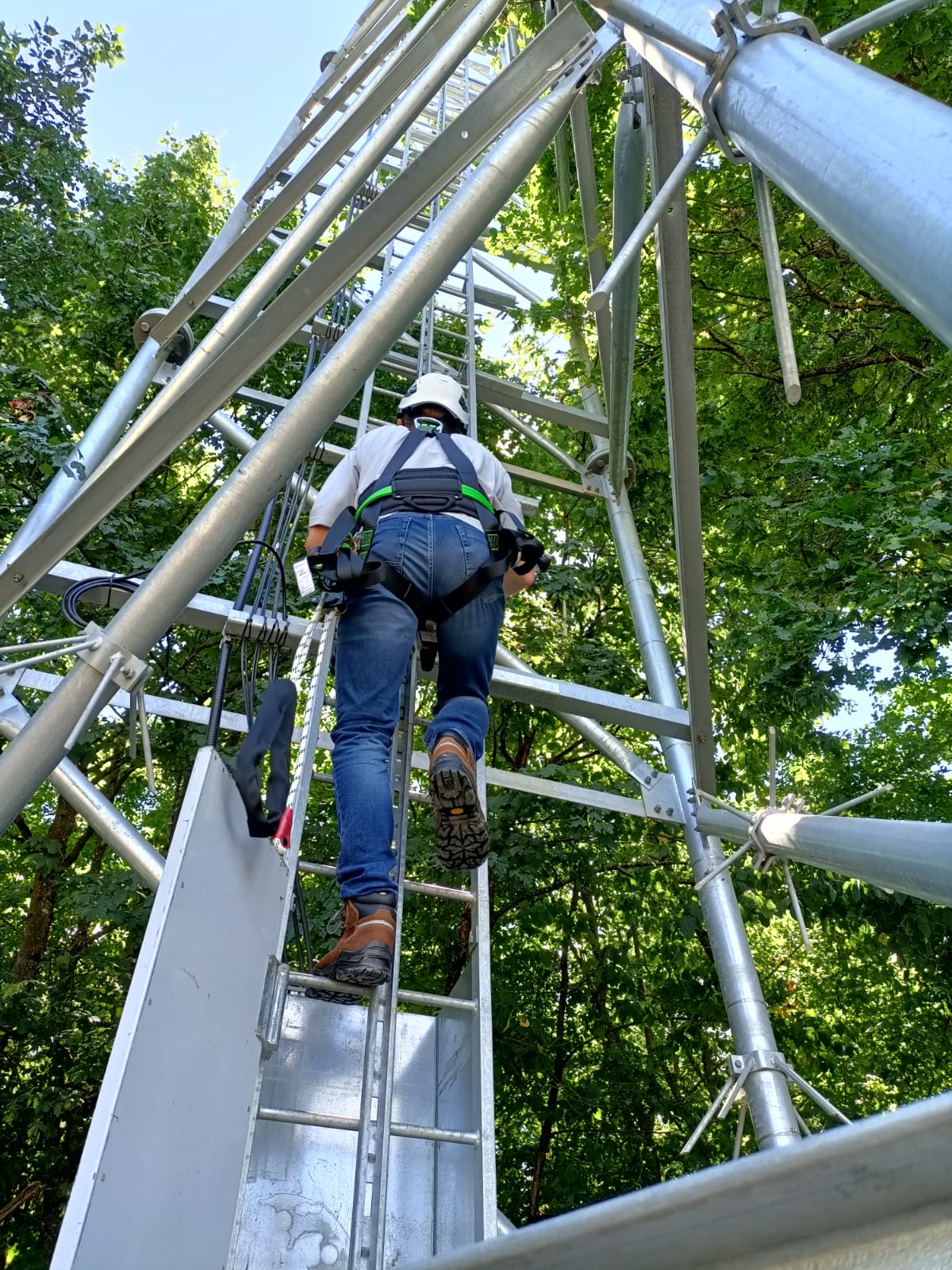 Formation travaux en hauteur sur pylône avec échelle| Alsace